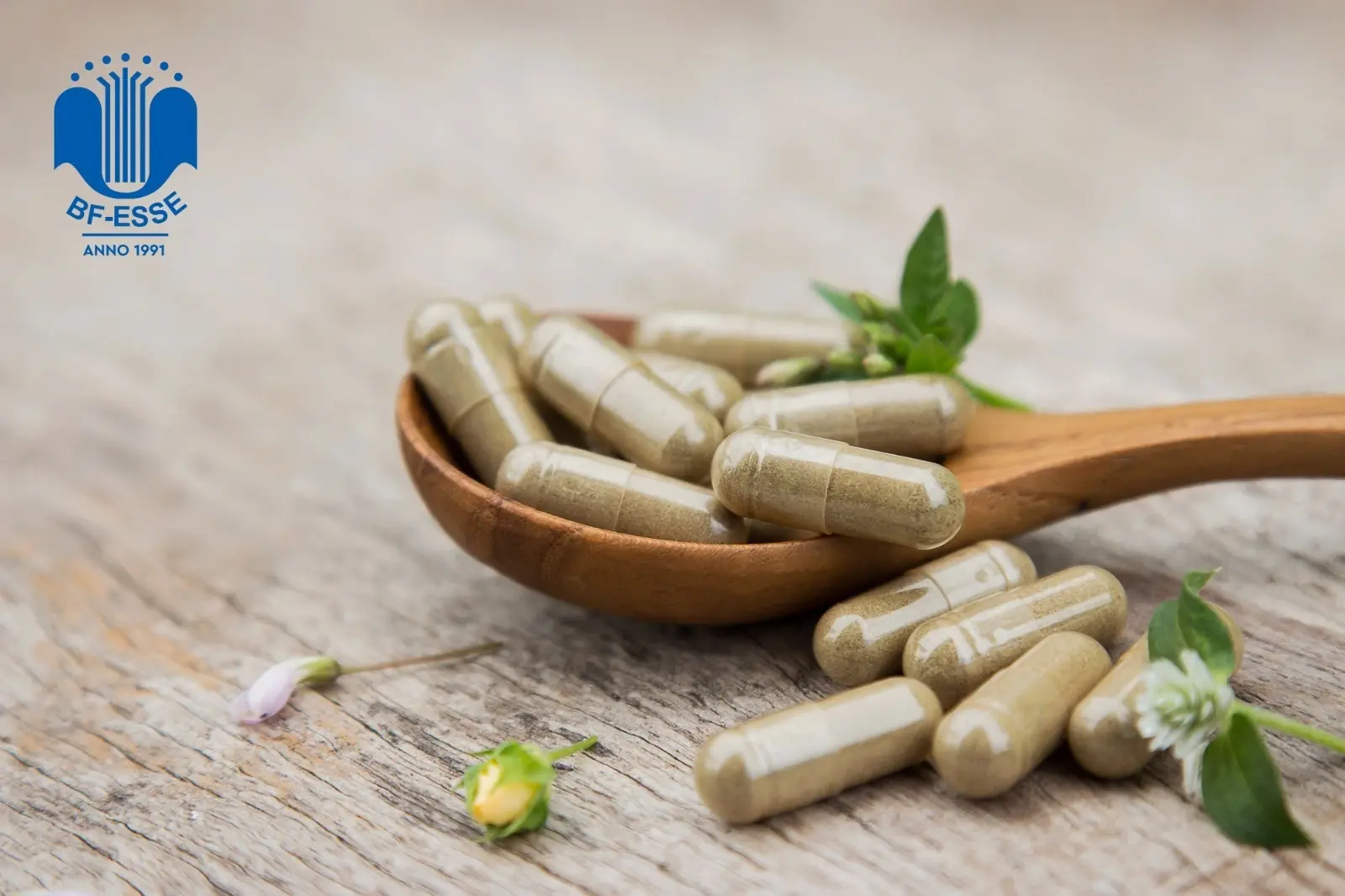 Types of Food Supplements Explained