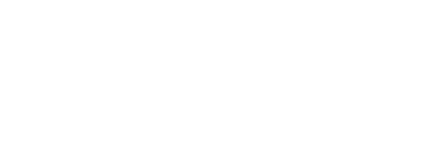 Lion Trans – váš spolehlivý partner v přepravě automobilů z USA do ...