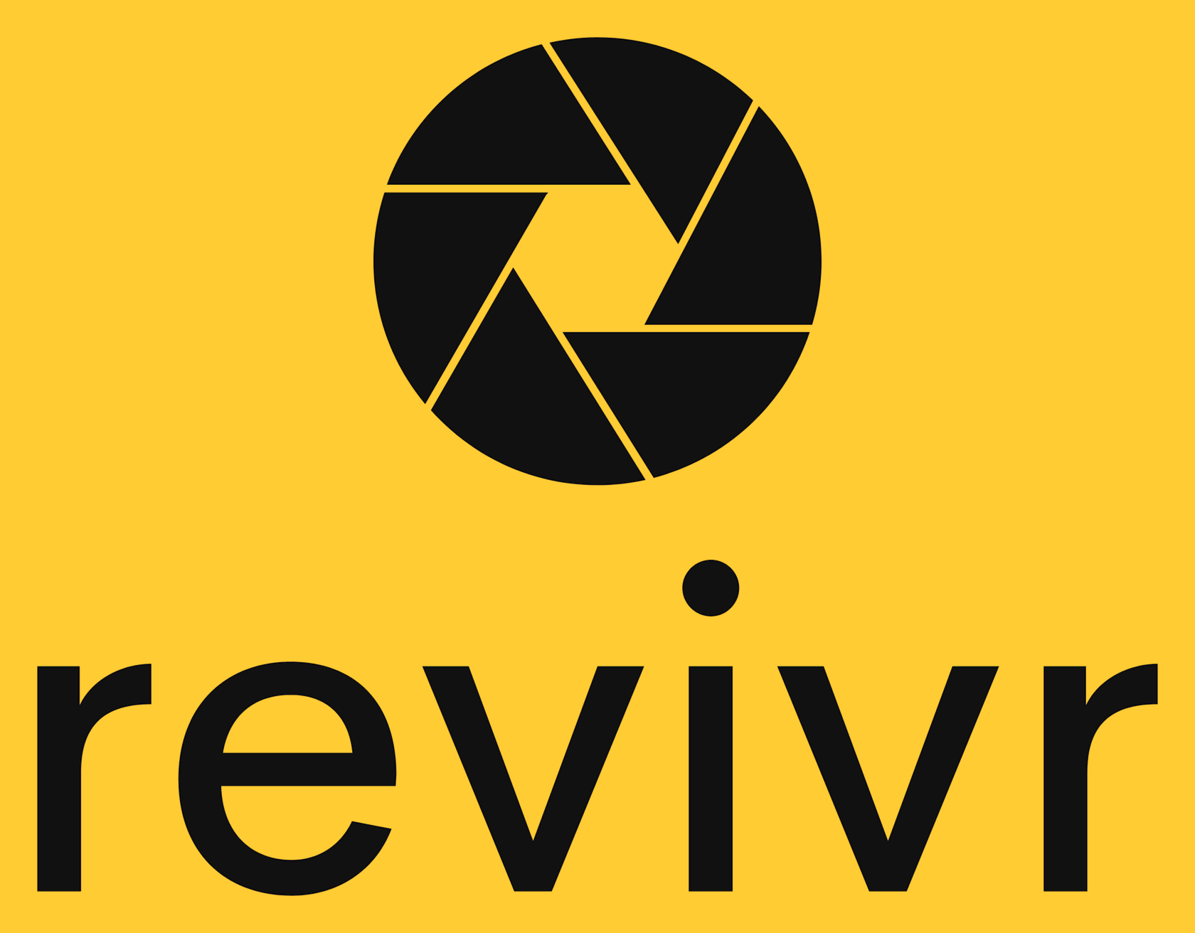 Revivr - professional video files recovery