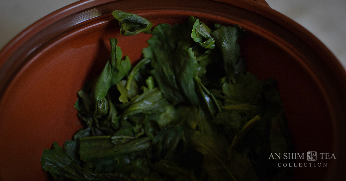 Kamairicha | Pan-Fired Tea | Japanese Green Tea
