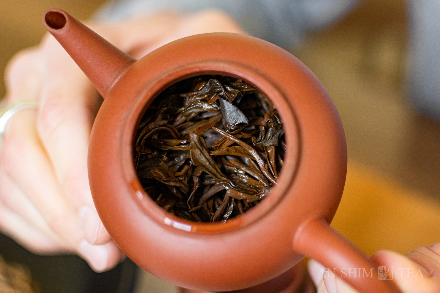 Zao Chun Lao Shu Tou Cai Hong Cha | "Early Harvest Old Tree Yunnan Black"