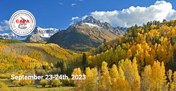 CAPA 2023