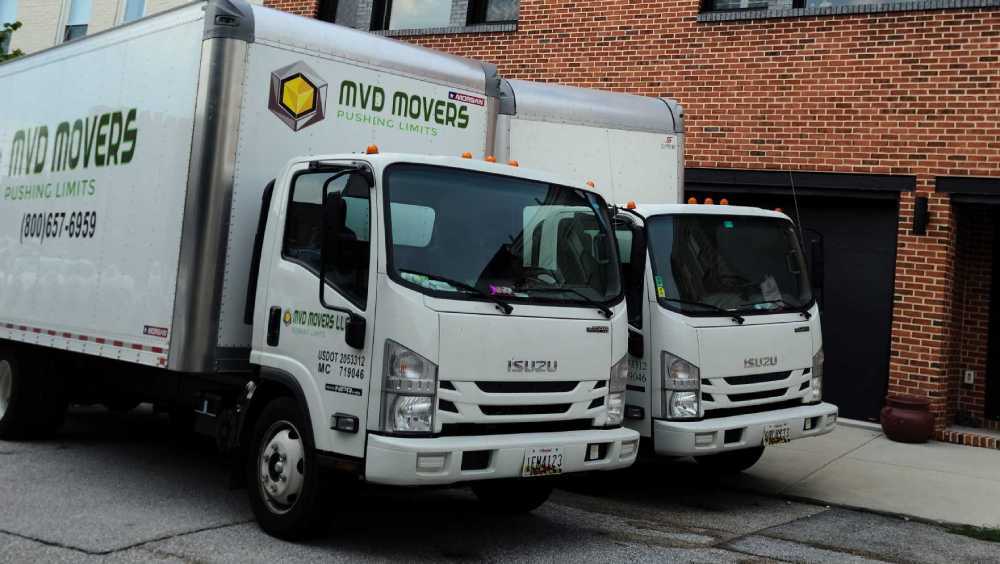 MVD Movers LLC