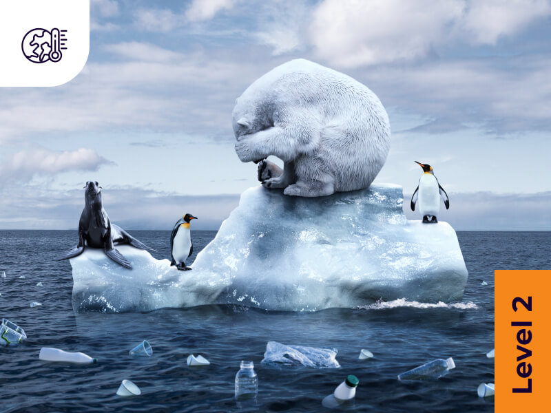 Climate Change Level 2